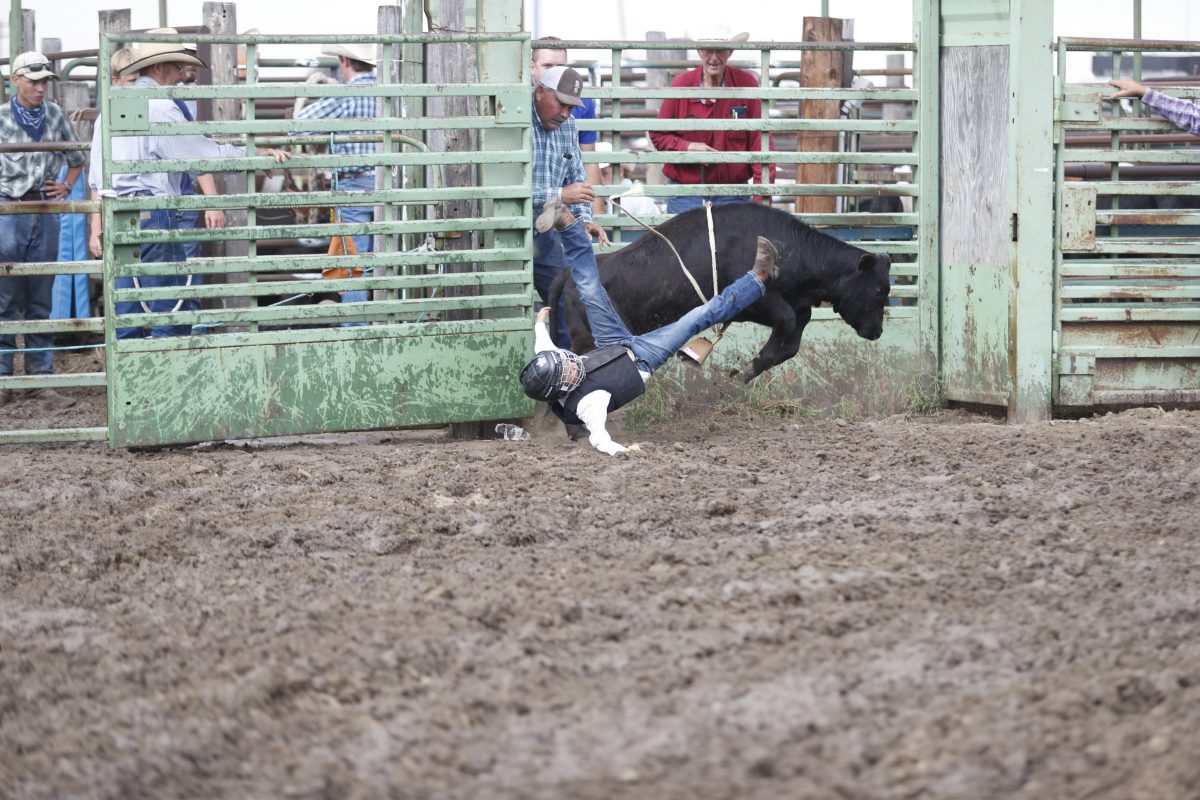 Pick’n, Grin’n, and Sweat’n at the 2023 County Fair – Scoop Media